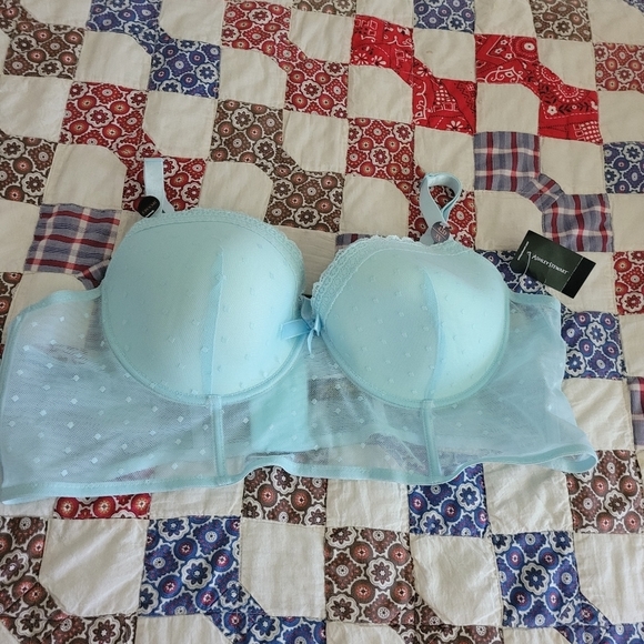 Ashley Stewart | Intimates & Sleepwear | Ashley Stewart Baby Blue Bra ...